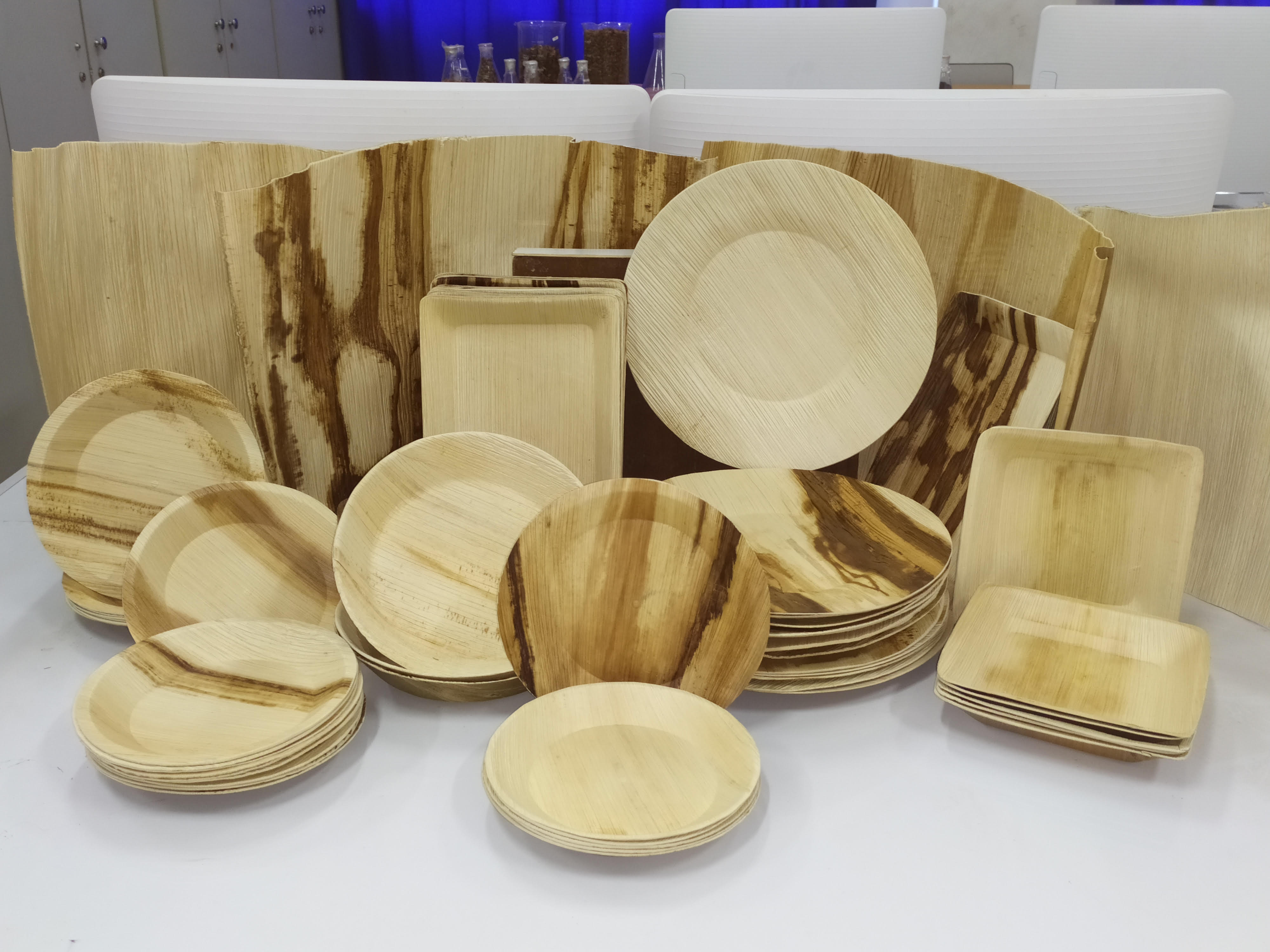 5 Fakta Piring Pelepah Pinang, Kerajinan Khas Jambi yang Viral - GenPI.co