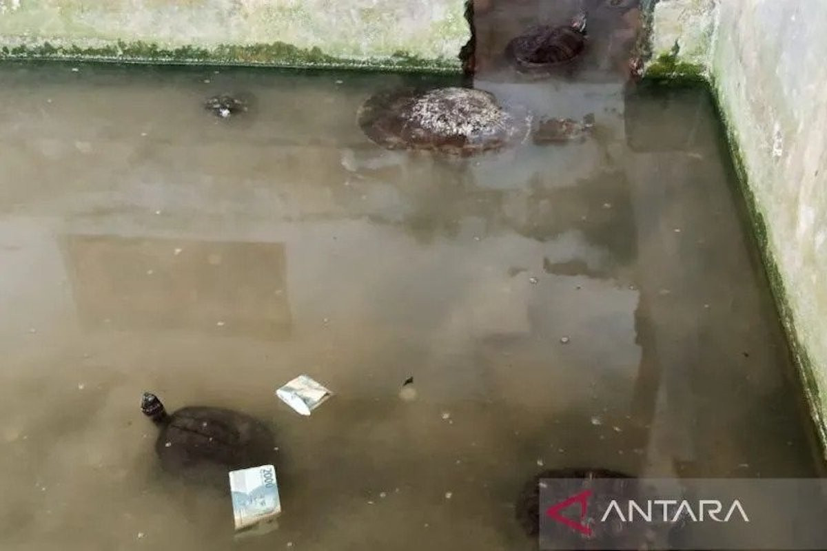 4 dari 9 Objek Wisata di Kudus Masih Tutup Saat Lebaran - GenPI.co JATENG