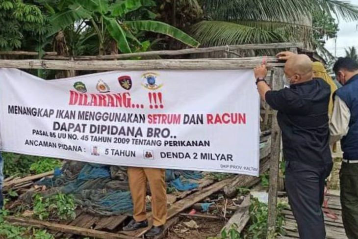 Kenapa Setrum dan Meracun Ikan Dilarang? Nih Penjelasannya - GenPI.co ...